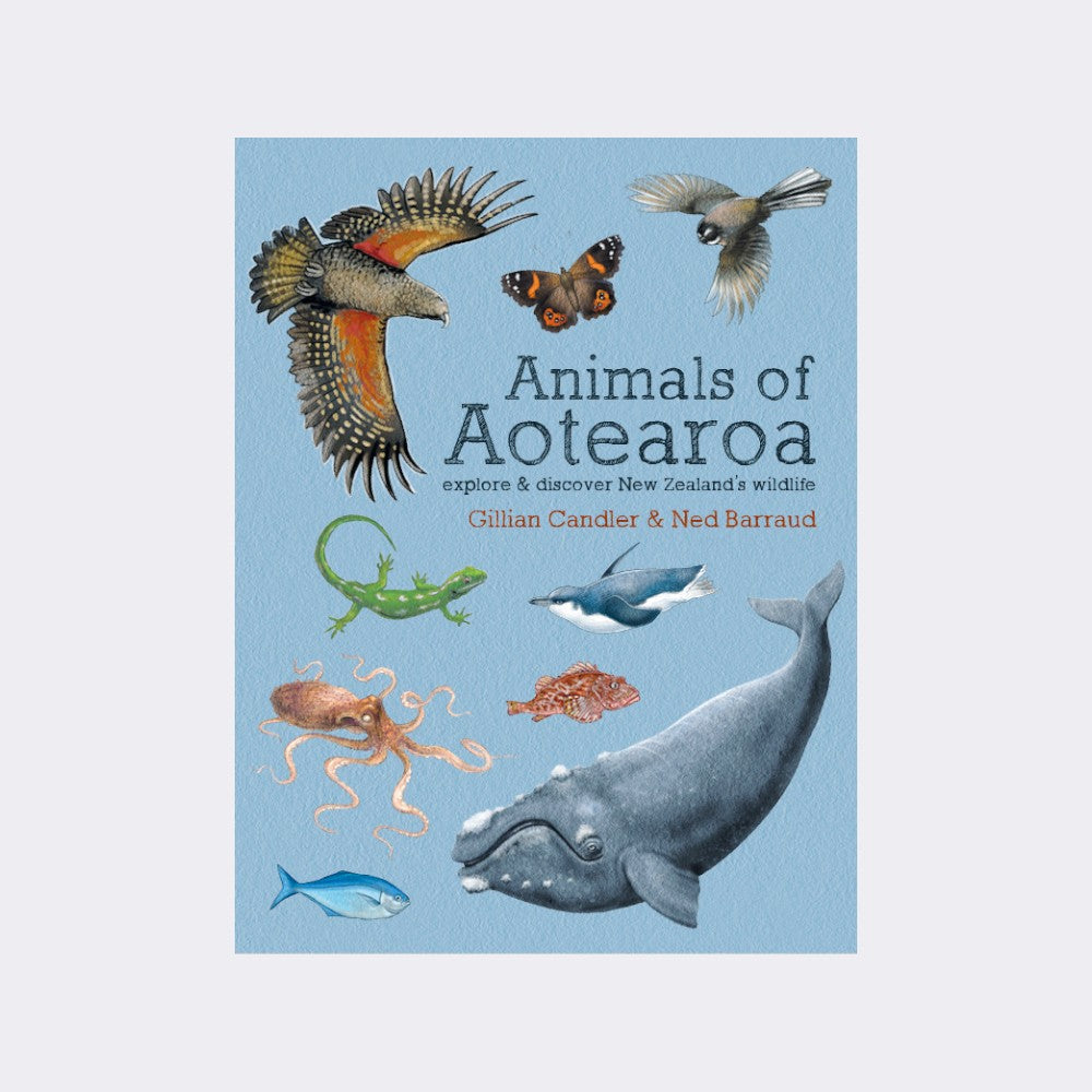 Animals of Aotearoa by Gillian Candler & Ned Barraud – Frances Nation